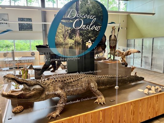 SNEADS FERRY BRANCH LIBRARY - Updated October 2025 - 10 Photos - 1330 ...