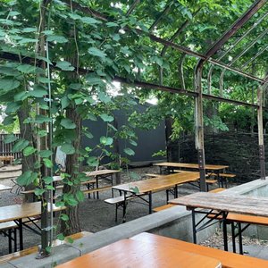 KENTUCKY NATIVE CAFE - 255 Photos & 167 Reviews - Cafes - 417 E Maxwell ...