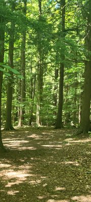 EMERY PARK - 13 Photos & 13 Reviews - Parks - 2084 Emery Rd, South ...