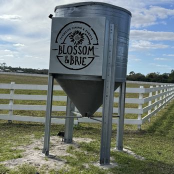 BLOSSOM & BRIE - Updated April 2025 - 142 Photos & 58 Reviews - 8250 ...