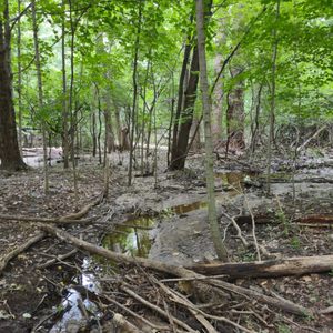 HINES PARK - Updated June 2025 - 30 Photos & 25 Reviews - Westland ...