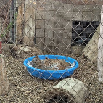 APPLEGATE PARK ZOO - Updated January 2026 - 122 Photos & 54 Reviews ...