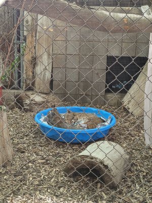 APPLEGATE PARK ZOO - Updated May 2025 - 117 Photos & 54 Reviews - 1045 ...