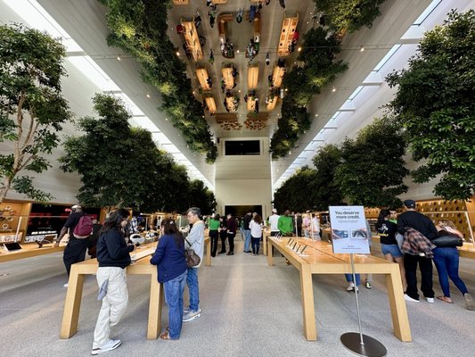 APPLE THE GROVE - Updated April 2026 - 283 Photos & 996 Reviews - 189 ...
