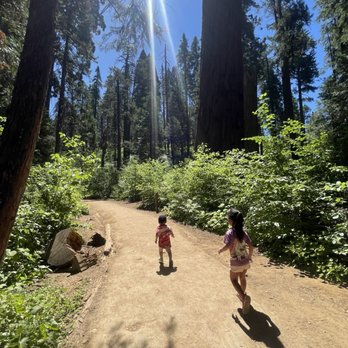 CALAVERAS BIG TREES STATE PARK - Updated December 2024 - 1141 Photos ...