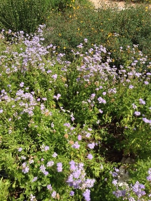 TYE PRESTON MEMORIAL LIBRARY - Updated October 2025 - 14 Photos - 16311 ...