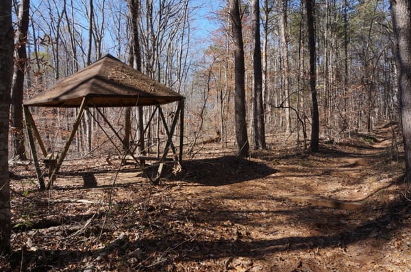 ELACHEE NATURE SCIENCE CENTER - 59 Photos & 11 Reviews - 2125 Elachee ...