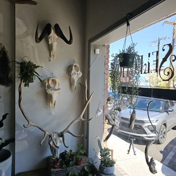 NATURAL SELECTION - Updated December 2025 - 218 Photos & 84 Reviews ...