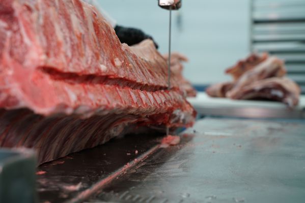 ONE SIXTY PROCESSING - Updated December 2025 - 38 Photos - 7185 N Bryan ...