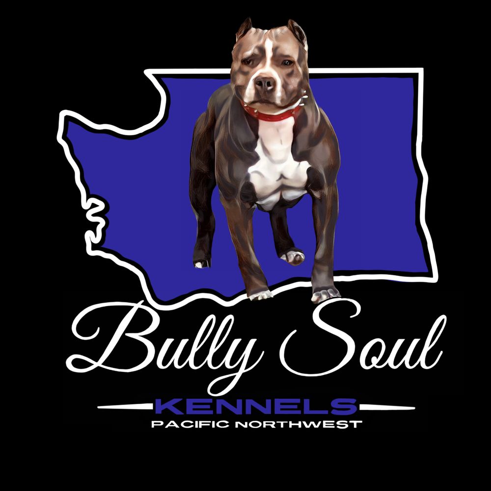 BULLY SOUL - Updated April 2025 - Kent, Washington - Pet Breeders ...