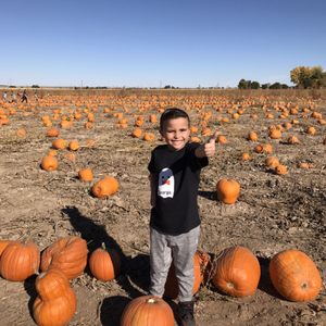 MUSSO FARMS - Updated December 2025 - 33 Photos & 21 Reviews - 35779 ...