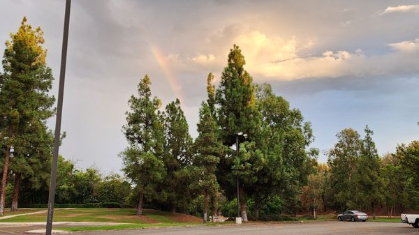 FULLERTON LOOP BIKE TRAIL - Updated January 2025 - 182 Photos & 88 ...