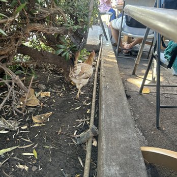 KIHEI CAFFE - Updated August 2024 - 5056 Photos & 4915 Reviews - 1945 S ...