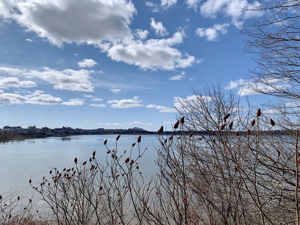 BACK COVE TRAIL - 83 Photos & 30 Reviews - Preble St & Hwy 1, Portland ...