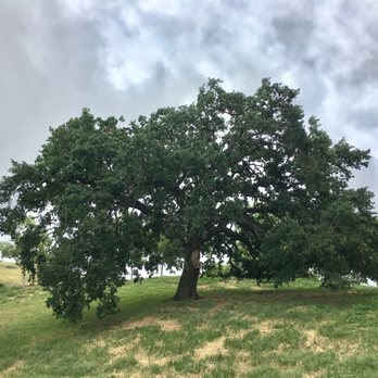 SUMMIT RANCH EQUINE CENTER - Updated December 2025 - 65 Photos & 13 ...