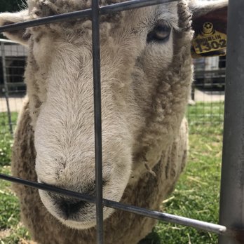 MASS AUDUBON DRUMLIN FARM WILDLIFE SANCTUARY - Updated December 2025 ...