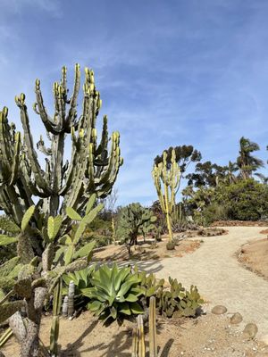 KATE O SESSIONS CACTUS GARDEN - Updated August 2024 - 55 Photos & 15 Reviews - Balboa Park, San ...