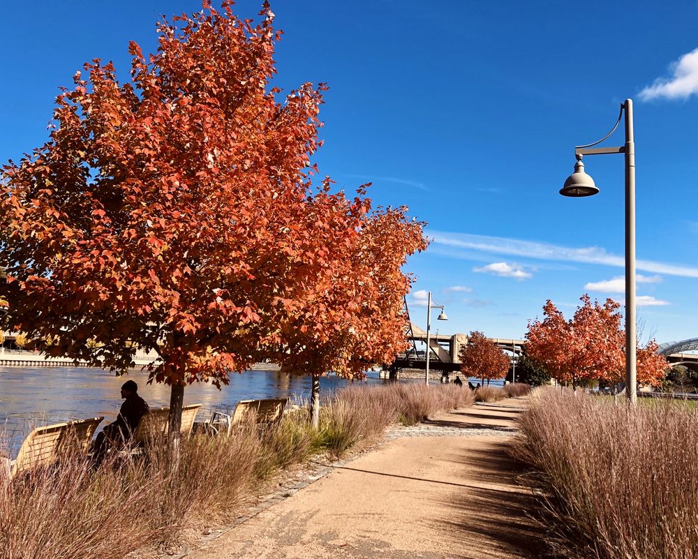 RASPBERRY ISLAND REGIONAL PARK - Updated December 2024 - 29 Photos - 1 ...