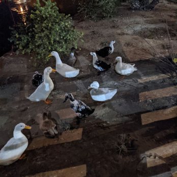 RIVERWALK PARKWAY - Updated December 2025 - 102 Photos & 27 Reviews ...