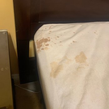 EL PATIO INN - Updated December 2025 - 73 Photos & 99 Reviews - 11466 ...