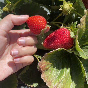 CRYSTAL BAY FARM - Updated December 2025 - 163 Photos & 78 Reviews - 40 ...