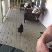 PMRF BARKING SANDS COTTAGES - 183 Photos & 22 Reviews - Kekaha, Hawaii ...