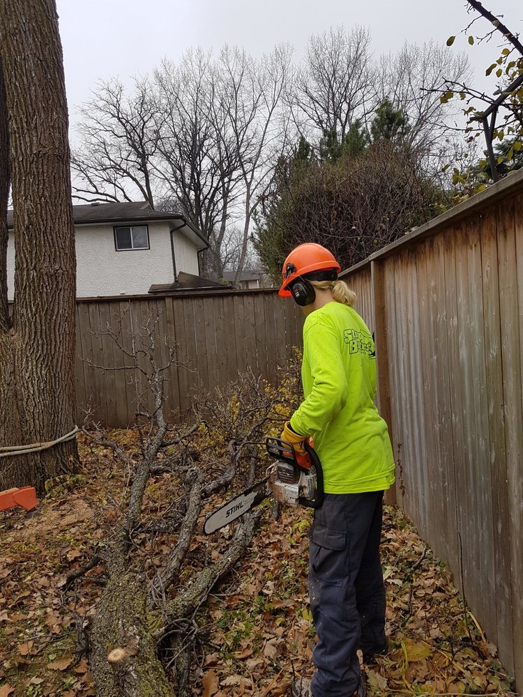 STUMP BUSTERS - Updated March 2025 - Winnipeg, Manitoba - Tree Services ...