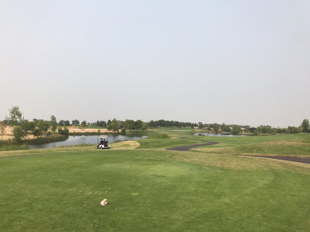 FALCON CREST GOLF CLUB - 12 Photos & 18 Reviews - Golf - 11102 S ...