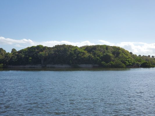 TURTLE MOUND RIVER TOURS - Updated May 2024 - 89 Photos & 64 Reviews ...