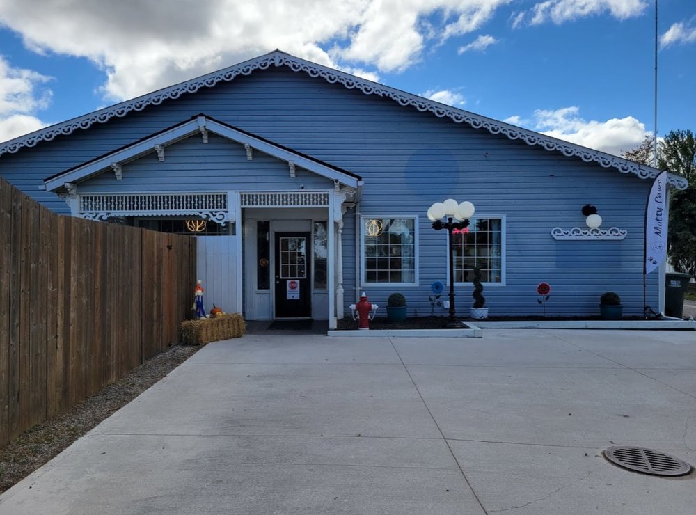 MUTTY PAWS DAYCARE AND GROOMING - Updated December 2025 - 1531 County ...