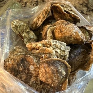 EARP’S SEAFOOD MARKET - 35 Photos & 34 Reviews - 1414 S Saunders St ...