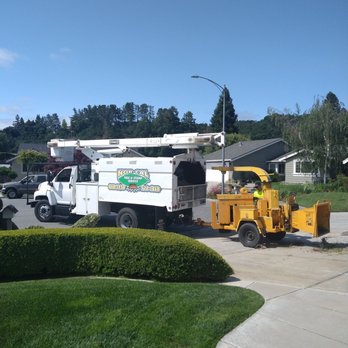 NOR-CAL TREE & STUMP SERVICE - Updated October 2025 - 10 Photos & 11 ...