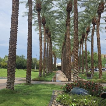 REVIVE SPA - Updated December 2025 - 114 Photos & 89 Reviews - 5350 ...