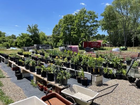 PENNFIELD GARDENS - Updated August 2025 - 11 Photos - 19595 Capital Ave ...