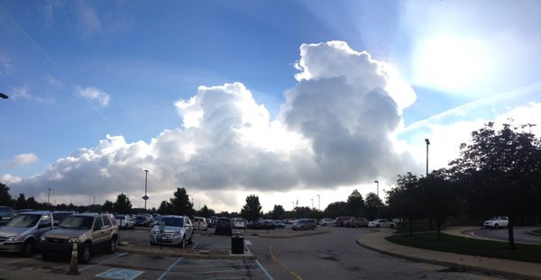 ORTHOINDY - Updated January 2026 - 10 Photos - 8402 N Harcourt Rd ...