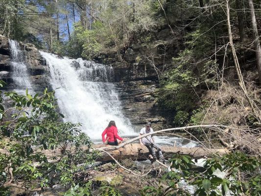 BOARDTREE FALLS - Updated September 2024 - Altamont, Tennessee - Parks ...