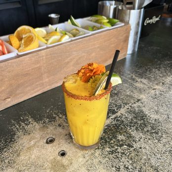 DARLING AVIARY - Updated April 2025 - 870 Photos & 677 Reviews - 712 K ...