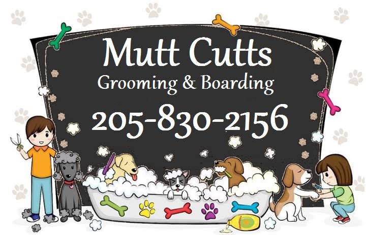 MUTT CUTTS GROOMING AND BOARDING - Updated August 2025 - 13811 USHwy ...