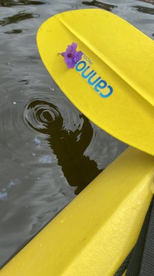 THE KAYAK SHACK - Updated April 2025 - 143 Photos & 108 Reviews - 5414 ...