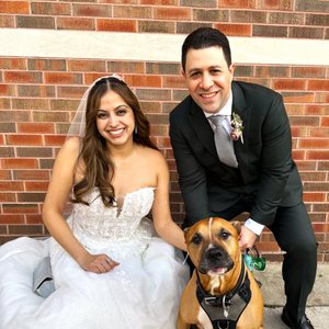 WRIGHT WAY RESCUE - Updated October 2025 - 79 Photos & 219 Reviews ...