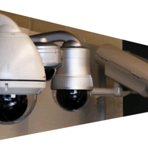 ROBBLEE’S TOTAL SECURITY - Updated July 2025 - 5424 S Tacoma Way, Tacoma, Washington - Security ...