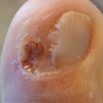 TRACY BASSO - Updated July 2025 - 15 Photos & 37 Reviews - 635 Anderson ...