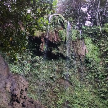 KAWASAN FALLS - Updated April 2024 - Balilihan, Balilihan, Bohol ...