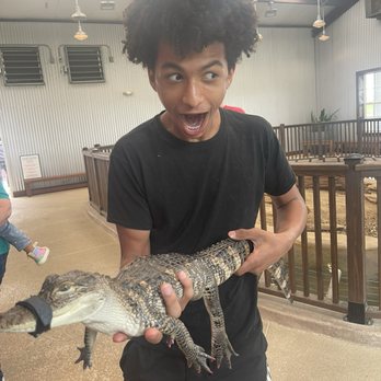 GATOR CHATEAU - Updated December 2025 - 166 Photos & 53 Reviews - 100 ...