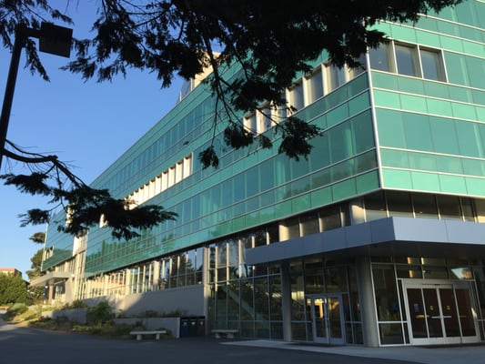 SFSU - J. PAUL LEONARD LIBRARY - Updated October 2025 - 62 Photos & 53 ...