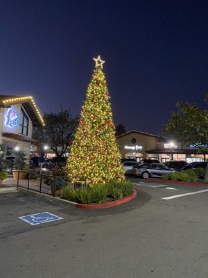 CASTRO VILLAGE SHOPPING CENTER - Updated October 2025 - 16 Photos ...