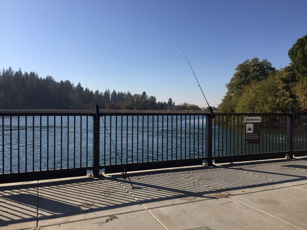 HALSEY FOREBAY PICNIC AREA - 55 Photos - Parks - Bancroft Rd, Auburn ...