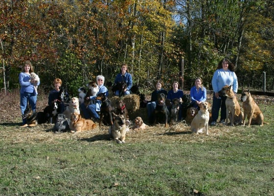 FOUR PAWS INN - 24 Reviews - Pet Sitting - 873 Clearfield Ave ...