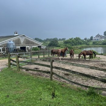 DEEP HOLLOW RANCH BEACH & TRAIL RIDES - Updated December 2025 - 85 ...