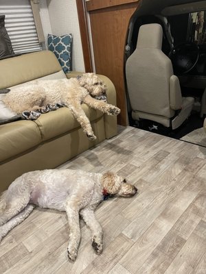 CAMPING WORLD OF ROCHESTER - Updated January 2026 - 1000 Sanford Rd N ...